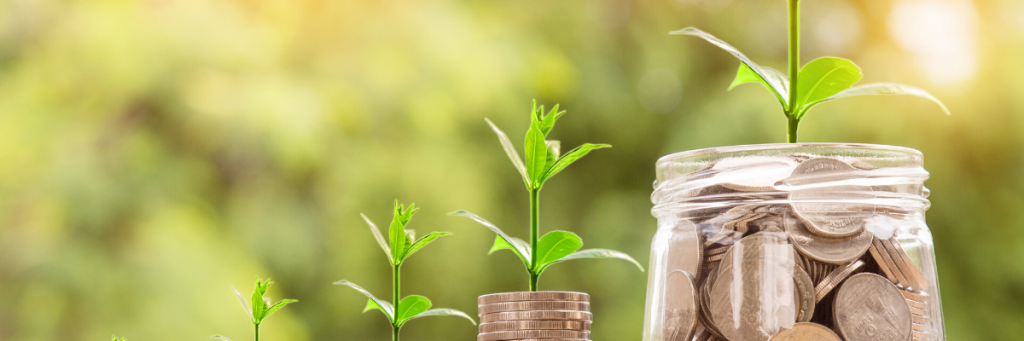 What is green finance and why is it important? – The Mirror Inspires